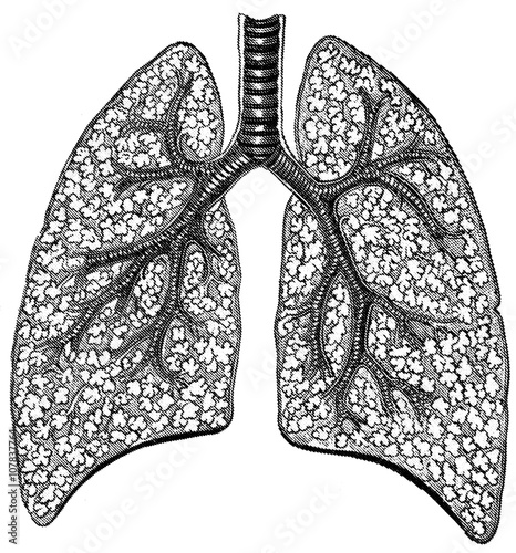 Vintage Lunge Illustrasjon