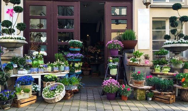 Blumenladen bilder – Bläddra bland 5,220 stockfoton, vektorer och ...