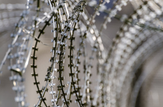 Natodraht bilder – Bläddra bland 181 stockfoton, vektorer och videor ...