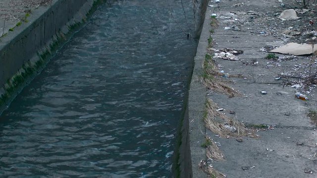 「Libid」の写真素材 | 22件の無料イラスト画像 | Adobe Stock