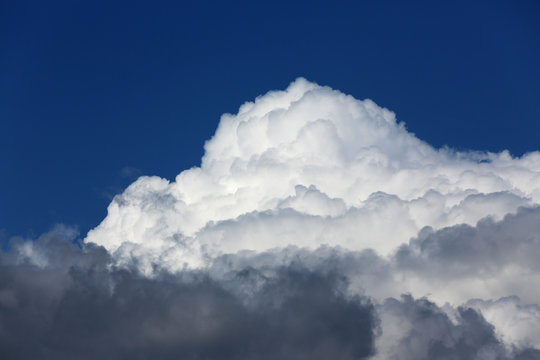 รูปภาพCumulon – เลือกดูภาพถ่ายสต็อก เวกเตอร์ และวิดีโอ100 | Adobe Stock