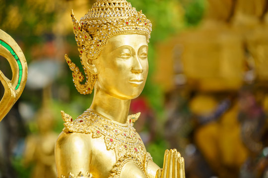 รูปภาพSawasdee – เลือกดูภาพถ่ายสต็อก เวกเตอร์ และวิดีโอ10,843 | Adobe Stock