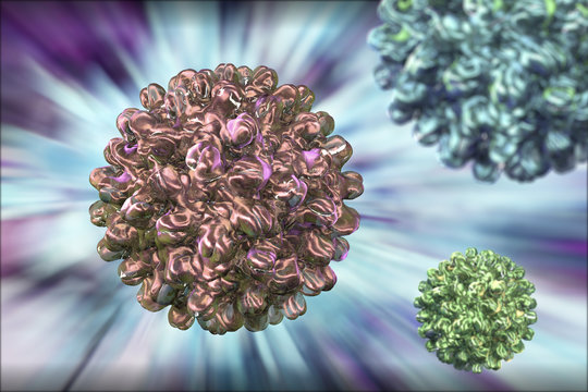 Hepadnavirus Bilder – Durchsuchen 359 Archivfotos, Vektorgrafiken und ...