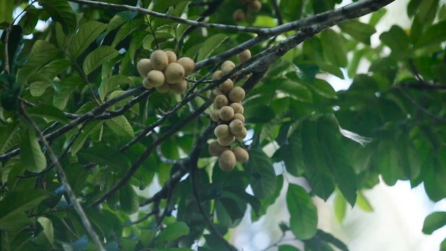 Lanzon Images – Browse 153 Stock Photos, Vectors, and Video | Adobe Stock