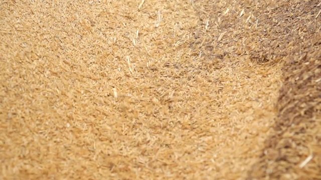 "Rice Husk" Images – Browse 832 Stock Photos, Vectors, and Video ...