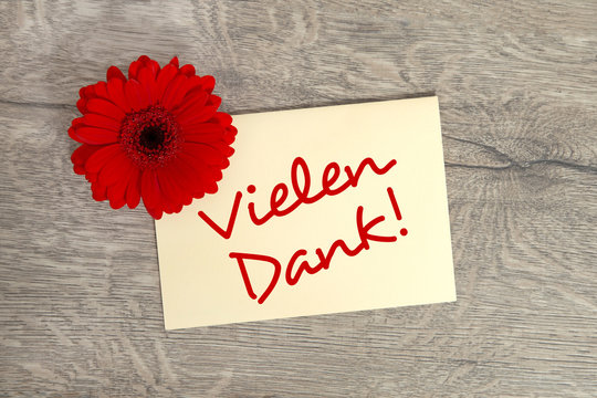 Danken bilder – Bläddra bland 6,119 stockfoton, vektorer och videor ...