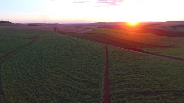 Canavial bilder – Bläddra bland 481 stockfoton, vektorer och videor ...