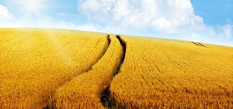 Biokraft Bilder – Durchsuchen 269 Archivfotos, Vektorgrafiken und ...