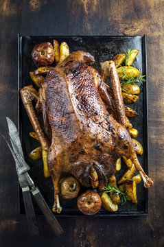 「Mastgans」の画像 - 149 件の Stock 写真、ベクターおよびビデオ | Adobe Stock