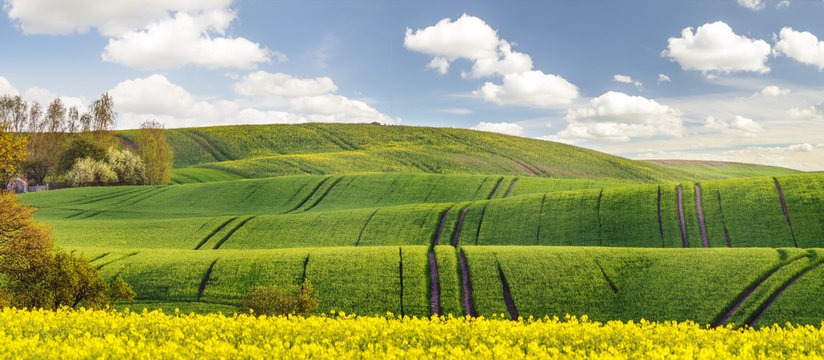 Sielski Images – Browse 667 Stock Photos, Vectors, and Video | Adobe Stock