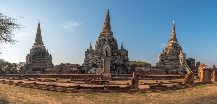 รูปภาพThaya – เลือกดูภาพถ่ายสต็อก เวกเตอร์ และวิดีโอ1,762 | Adobe Stock