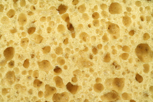 รูปภาพPorosity – เลือกดูภาพถ่ายสต็อก เวกเตอร์ และวิดีโอ4,778 | Adobe Stock