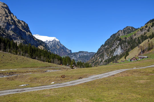 รูปภาพGitschen – เลือกดูภาพถ่ายสต็อก เวกเตอร์ และวิดีโอ66 | Adobe Stock