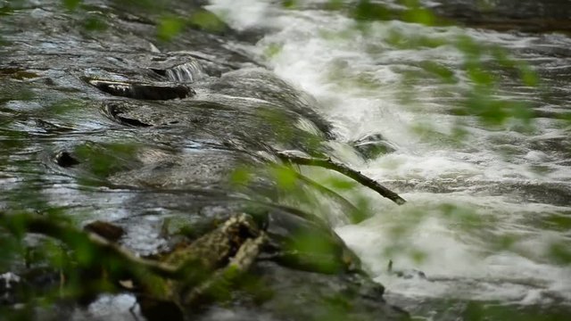 Roztocza Images – Browse 49 Stock Photos, Vectors, and Video | Adobe Stock