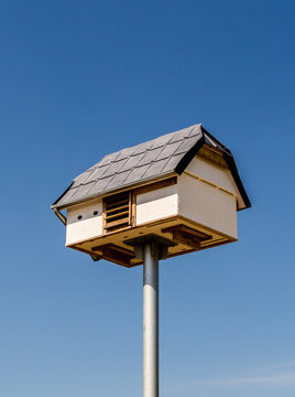 รูปภาพNester – เลือกดูภาพถ่ายสต็อก เวกเตอร์ และวิดีโอ2,634 | Adobe Stock