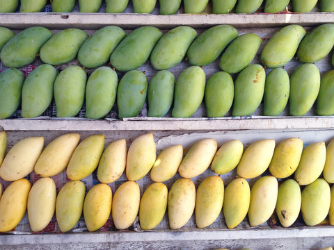 Harumanis Images – Browse 39 Stock Photos, Vectors, and Video | Adobe Stock