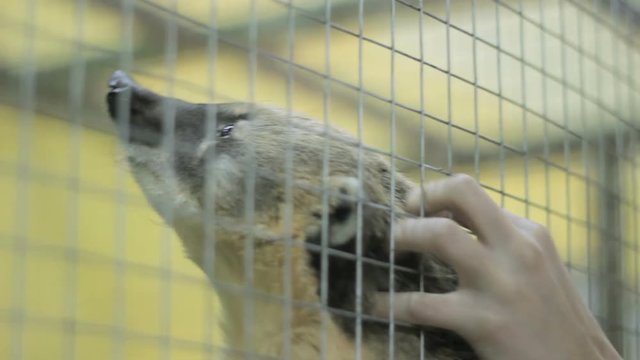 「Nosuh」の写真素材 | 25件の無料イラスト画像 | Adobe Stock