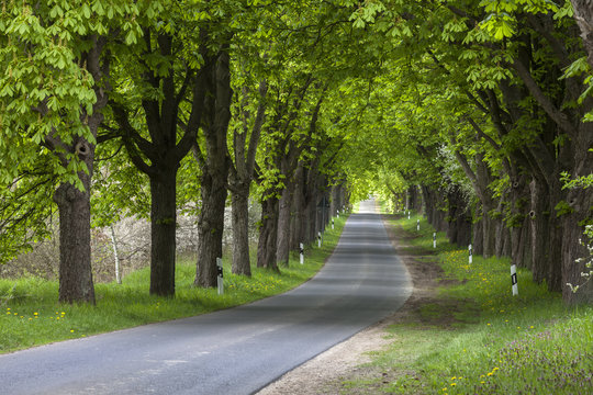 รูปภาพAllee – เลือกดูภาพถ่ายสต็อก เวกเตอร์ และวิดีโอ38,885 | Adobe Stock