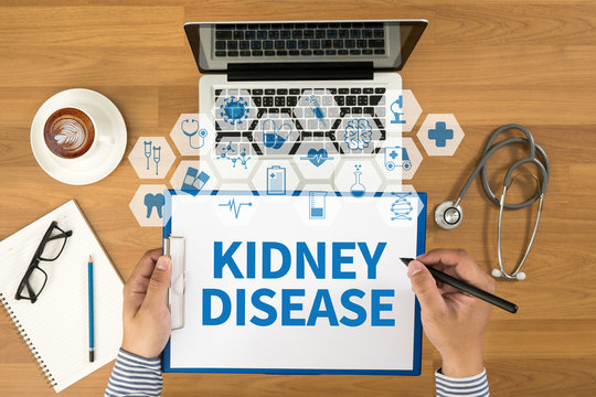 Imagens de Nephroptosis – Explore Fotografias do Stock, Vetores e ...