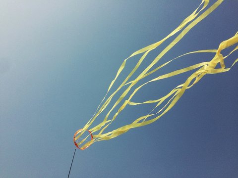 Acquilone Images – Browse 44 Stock Photos, Vectors, and Video | Adobe Stock