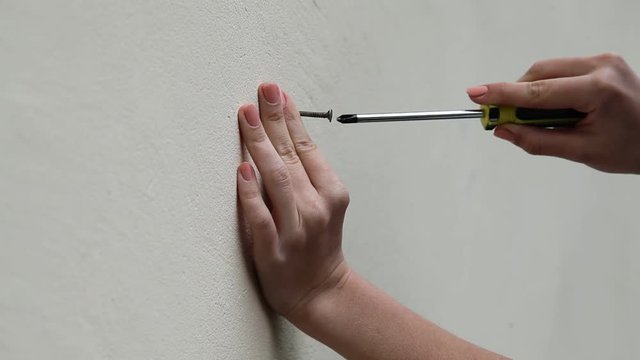 「Imbecility」の写真素材 | 982件の無料イラスト画像 | Adobe Stock