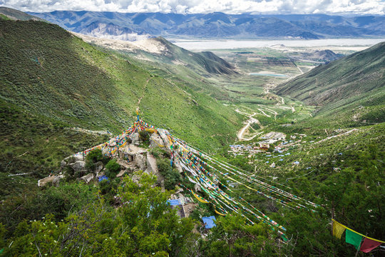 「Chimpu」の写真素材 | 7件の無料イラスト画像 | Adobe Stock