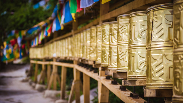 「Chimpu」の写真素材 | 7件の無料イラスト画像 | Adobe Stock