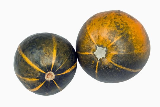 Gem-Squash Images – Browse 13 Stock Photos, Vectors, and Video | Adobe ...