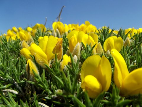 「Tojo」の写真素材 | 240件の無料イラスト画像 | Adobe Stock