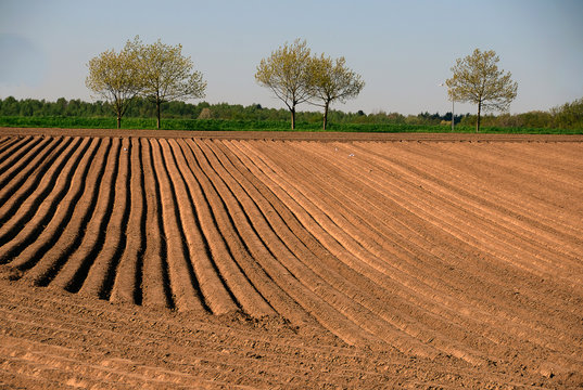Imagens de Ackerfurchen – Explore Fotografias do Stock, Vetores e ...