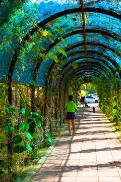 Turnel Images – Browse 19 Stock Photos, Vectors, and Video | Adobe Stock