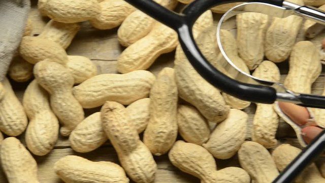 Spagnolette Images – Browse 171 Stock Photos, Vectors, and Video ...