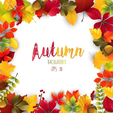 "Autumn Background" bilder – Bläddra bland 67,140 stockfoton, vektorer ...