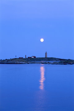 Gronskar bilder – Bläddra bland 3 stockfoton, vektorer och videor ...