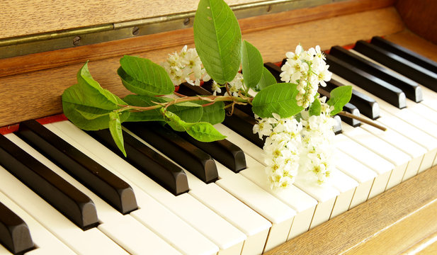 Spring Piano Bilder – Durchsuchen 6,311 Archivfotos, Vektorgrafiken und ...