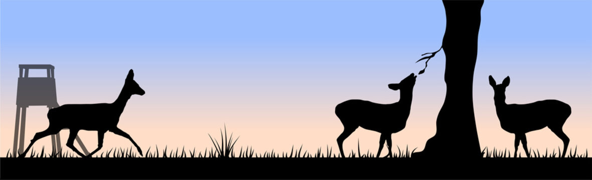 Imágenes de Rehwild: descubre bancos de fotos, ilustraciones, vectores ...