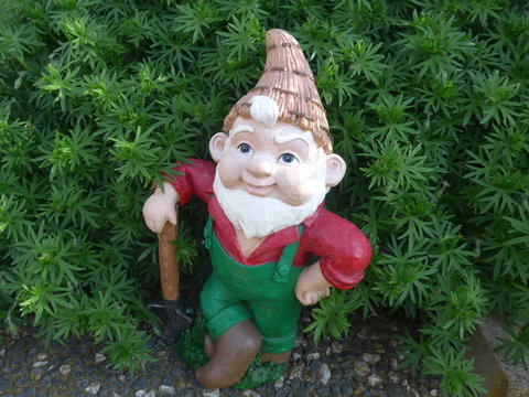 Zwerg bilder – Bläddra bland 10,513 stockfoton, vektorer och videor ...