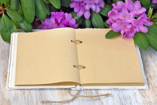 Journal Images – Browse 1,204,563 Stock Photos, Vectors, and Video ...