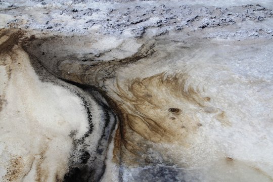 Perse Images – Browse 31 Stock Photos, Vectors, and Video | Adobe Stock