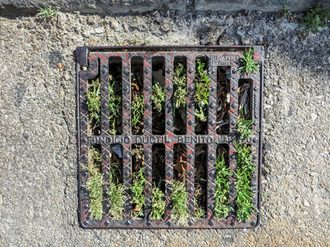 รูปภาพWasserabfluss – เลือกดูภาพถ่ายสต็อก เวกเตอร์ และวิดีโอ294 | Adobe ...