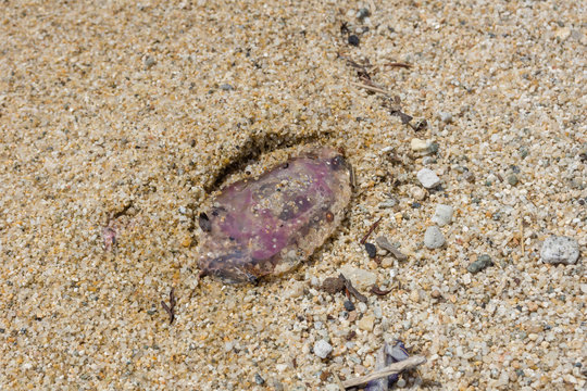 Galert Images – Browse 8 Stock Photos, Vectors, and Video | Adobe Stock