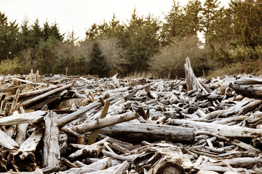 "Environmental Issues" Bilder – Durchsuchen 122,268 Archivfotos ...