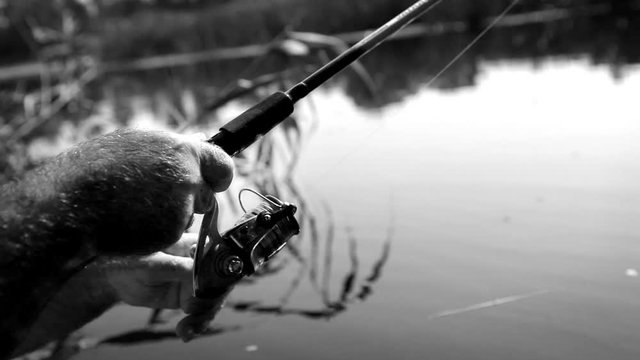 「Spoon-Bait」の写真素材 | 2,753件の無料イラスト画像 | Adobe Stock