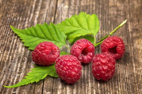 รูปภาพHimbeeren – เลือกดูภาพถ่ายสต็อก เวกเตอร์ และวิดีโอ16,114 | Adobe ...