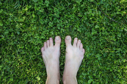 Stopa 이미지 – 찾아보기 3,284 스톡 사진, 벡터 및 비디오 | Adobe Stock