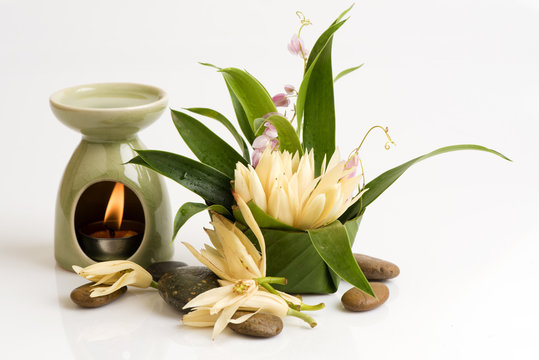 Champee Images – Browse 37 Stock Photos, Vectors, and Video | Adobe Stock