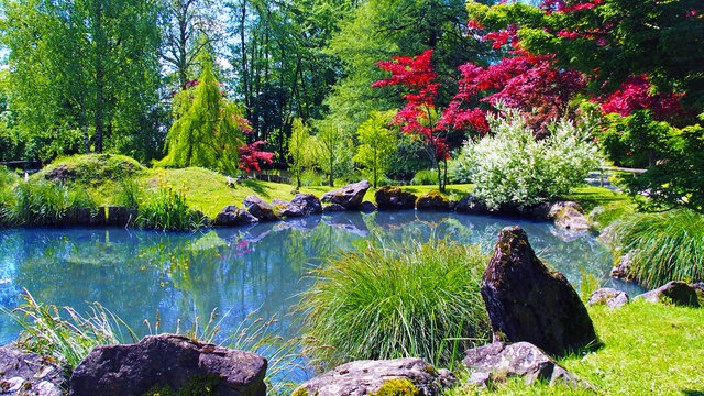 รูปภาพArboretum – เลือกดูภาพถ่ายสต็อก เวกเตอร์ และวิดีโอ227,159 | Adobe ...