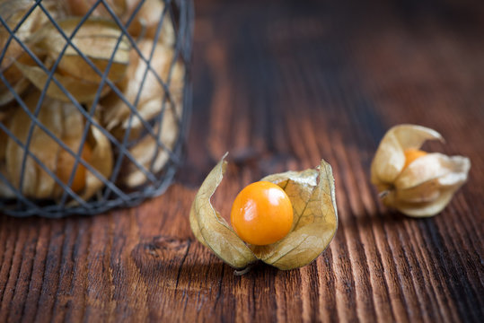 「Judenkirsche」の画像 - 352 件の Stock 写真、ベクターおよびビデオ | Adobe Stock