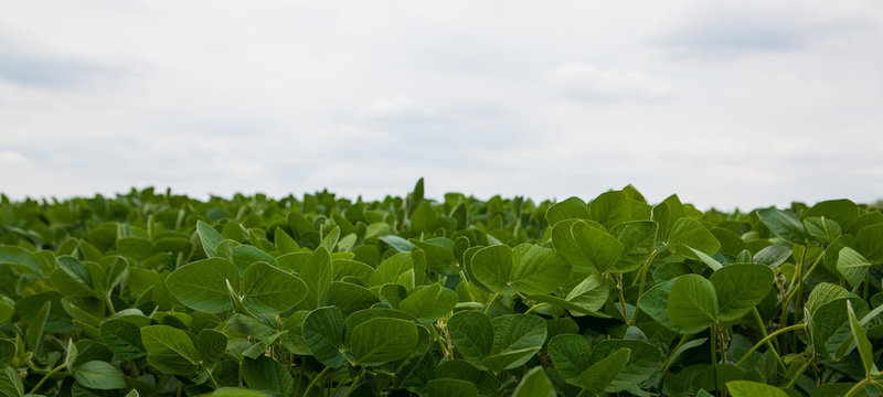 tinnko 写真、画像、アセット | Adobe Stock