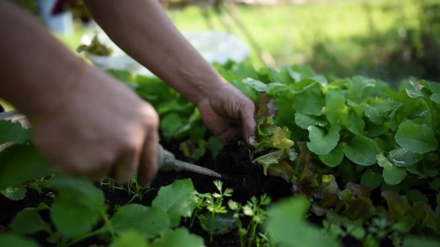 Repiquage Imagens – Procure 267 fotos, vetores e vídeos | Adobe Stock